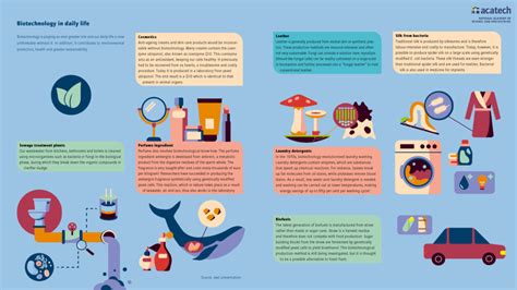 Biotechnology Examples In Everyday Life