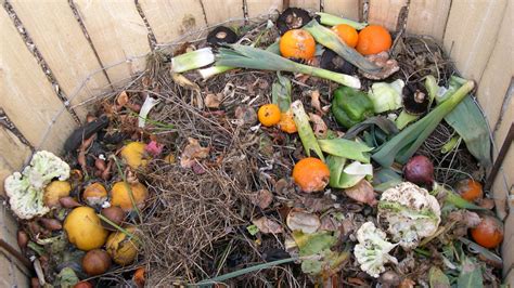 Garden Organic What Can I Compost