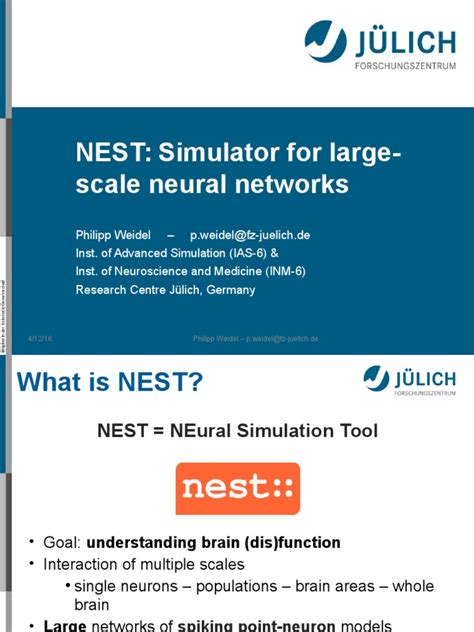 nest simulator for large scale neural networks pdf simulation brain