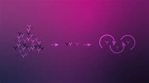 Protein Engineering And Construct Screening
