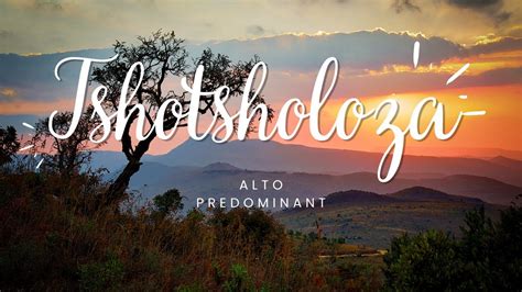 Tshotsholoza Alto Predominant Youtube