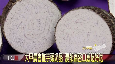大甲農會推芋頭奶酪！濃郁綿密口感超好吃｜芋頭美食｜大甲美食｜─大台中新聞 Youtube
