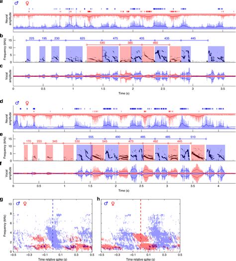 Vocalizations Are Locked To Bursts Of Premotor Hvc Activity In The