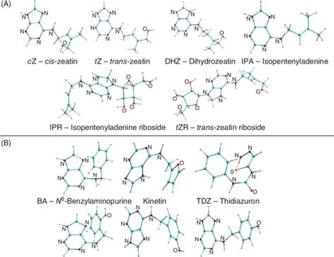 1 Plate 3 Three Dimensional Structure Of A N 6 Isoprenoid Side