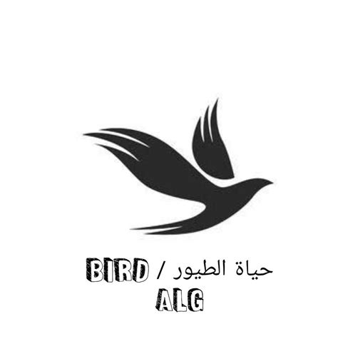 حياة الطيور Bird Alg