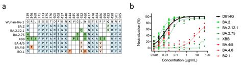 Deep Mutational Scanning To Predict Escape From Bebtelovimab In Sars Cov 2 Omicron Subvariants