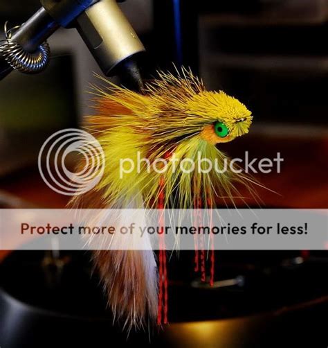 Chubby Sex Chicken Sbs Drake Magazine Online