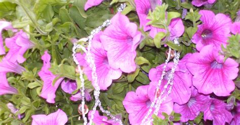 Ideju Kaudze Kristāla Krelles