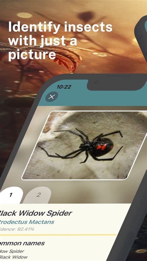 Insect Bug Spider Identifier For Iphone Download