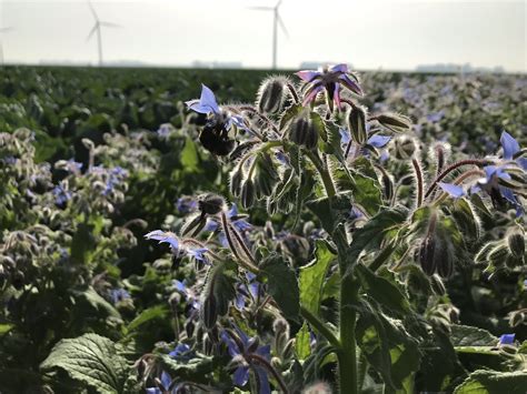 Christopher Ruehl Chruehl Twitter