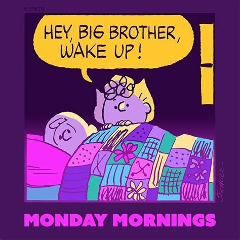 Pin By Lucy Mac On Peanuts Board Snoopy Wallpaper Snoopy Comic Book