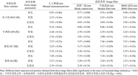 Rice Grain Shape Parameters Obtained From Image Analysis And Manual