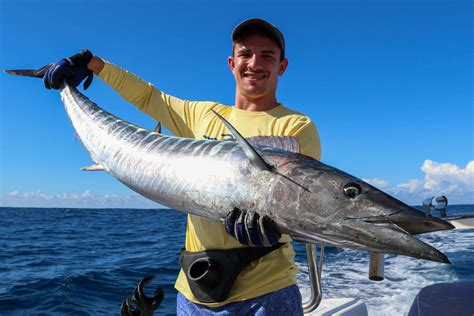 Gamefish, Sailfish & Marlin on Jam Packed - FishBazaruto.com