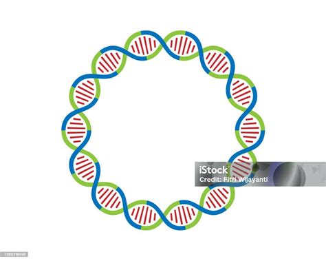 Untai Dna Loop 14 Bagian Ilustrasi Stok Unduh Gambar Sekarang Dna