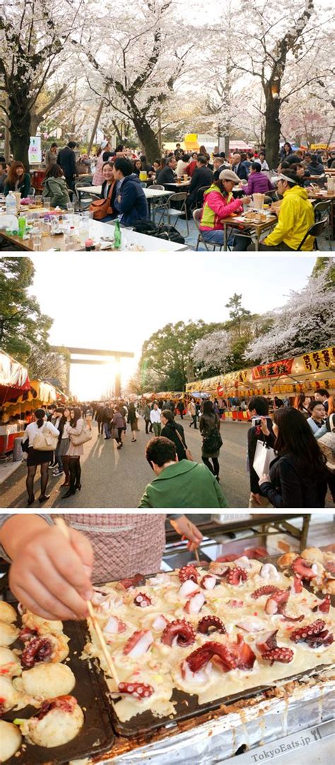 Cherry Blossoms — Ohanami 2014 Tokyo Eats Japanese Lifestyle Cherry Blossom Blossom