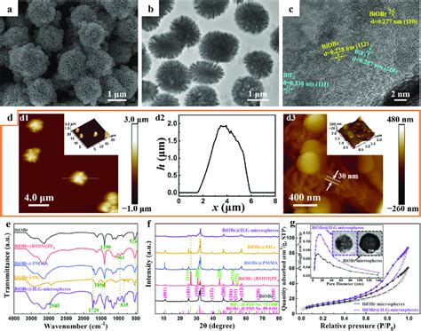 Characterization Of The Biobrilg Microspheres A Sem Image B Tem Download Scientific
