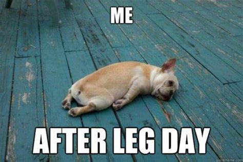 The 12 Best Leg Day Memes That Anyone Who Works Out Can Relate To Yourtango