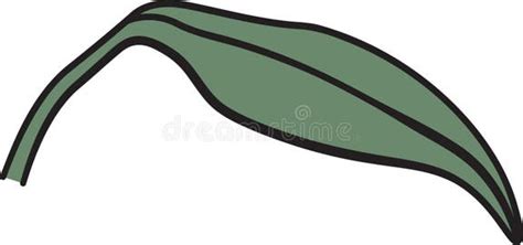 Single Peony Leaf Stock Illustration Illustration Of Contour 372020061