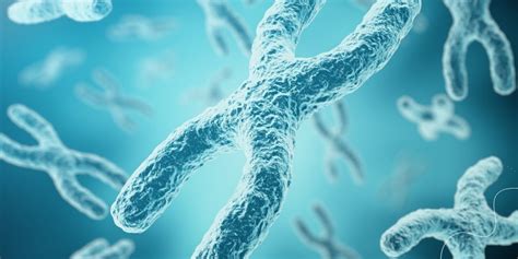 Symptoms And Causes Of Williams Disease