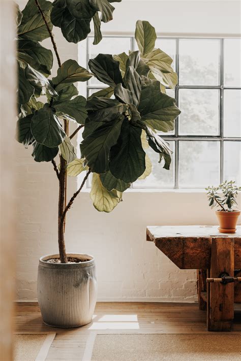 Tieja Maclaughlin Public Relations Crisis Management And Brand