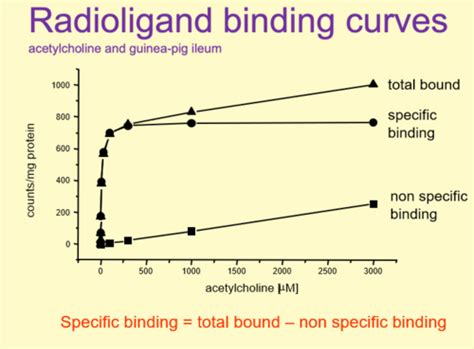 Receptor Theory Drug Affinity Flashcards Quizlet