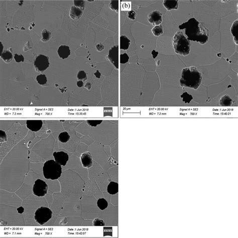 Schematic Diagram Of The Formation Process Of Micro Shrinkage Porosity