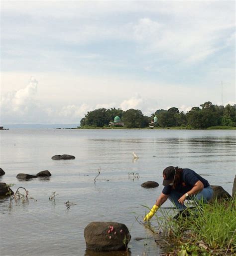 About Cest Incorporated