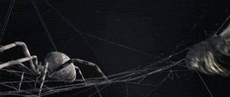 Terrifying Spiders 