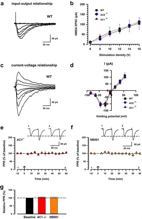 Nmdar Mediated Epscs And Effect Of Ppr In Ac1 −− Mice A Sample Download Scientific Diagram
