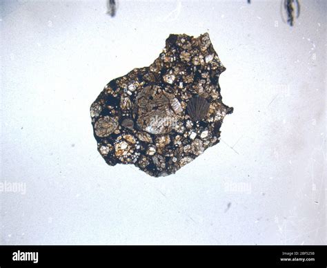 Micrograph Of Alha77164 2 Meteorite Under Plane Polarized Light At 1