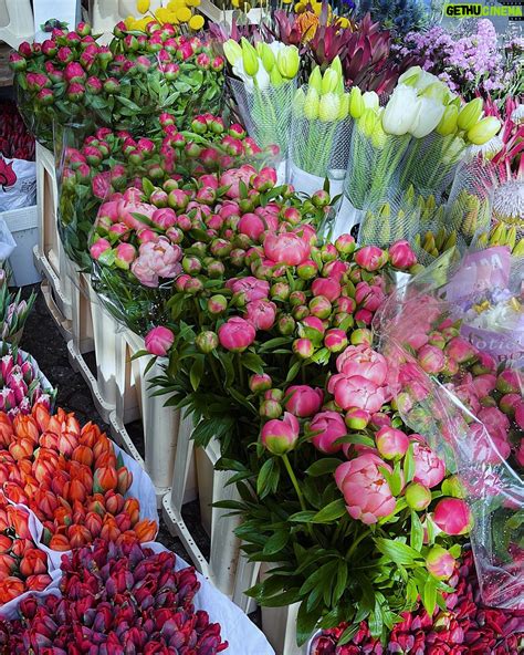 Anna Okuneva Gethu Cinema