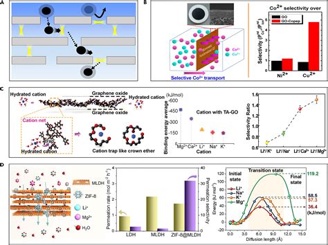 Enhancement Of Ion Selectivity And Permeability In Two Dimensional