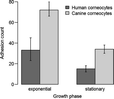 Overall Mean Adhesion Counts Of All Staphylococcus Pseudintermedius