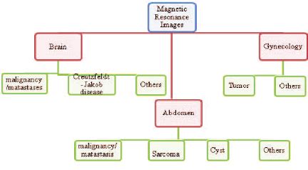 Hierarchy Organization Of The Dataset Download Scientific Diagram