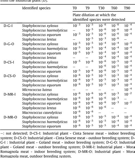 Staphylococcus Succinus Semantic Scholar