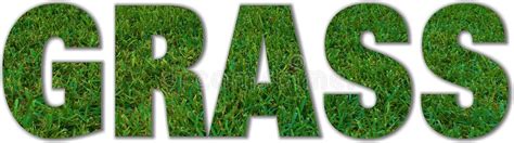 Grass Word Stock Illustrations 8031 Grass Word Stock Illustrations