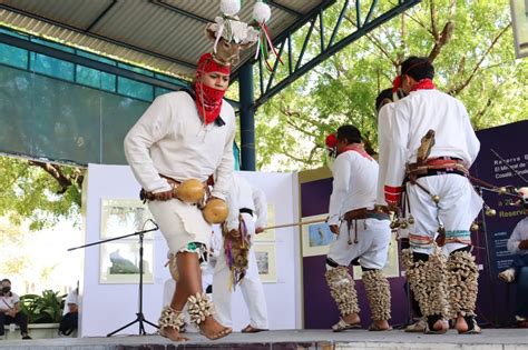 Indígenas Yoremes Llevan Su Música Y Danza Al Fiuc 2022 Expediente 27