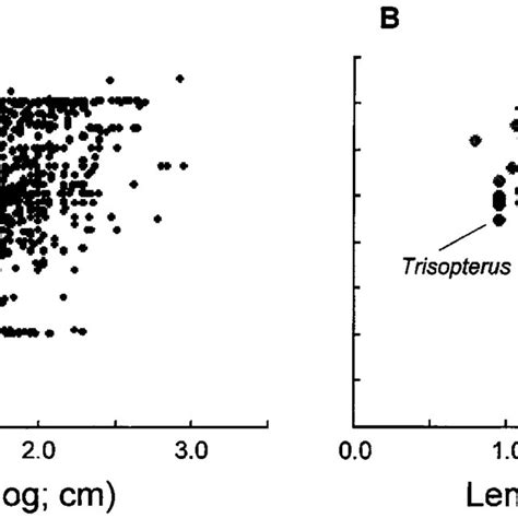 Relationships Between Trophic Level And Body Length In Fish A