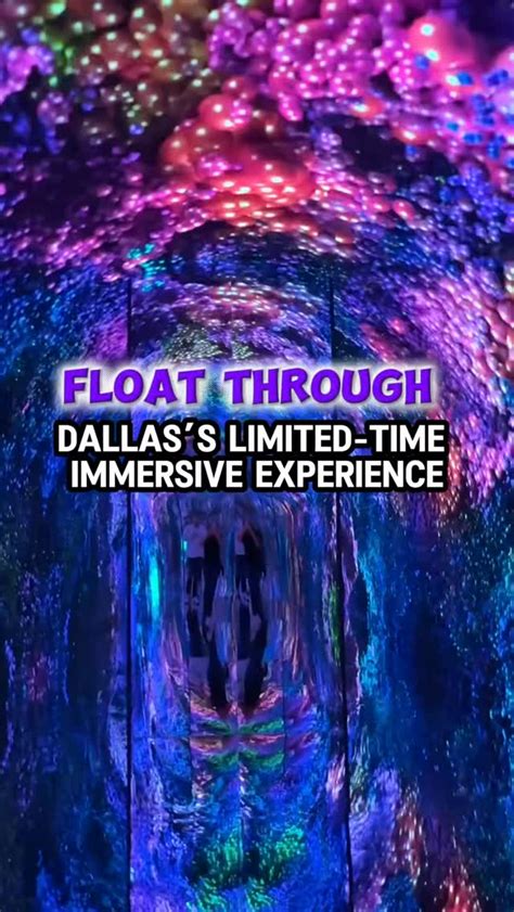 Dallas Museum Exhibits 2026