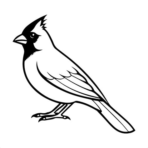 Cardinal Outline Vector Images And Graphics For Commercial Use Vectorstock