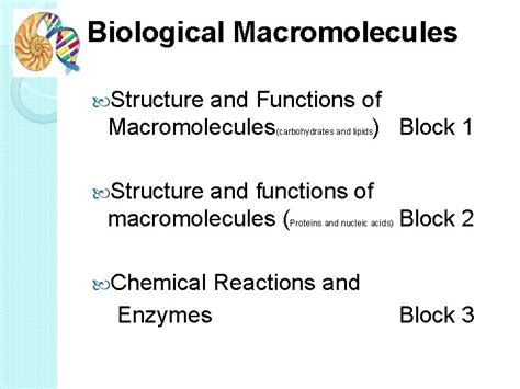 Biological Macromolecules Natures Building Blocks Biological Macromolecules Structure