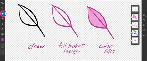 Adobe Fresco Vs Illustrator Vector Drawing On The Ipad Sketch Design Repeat