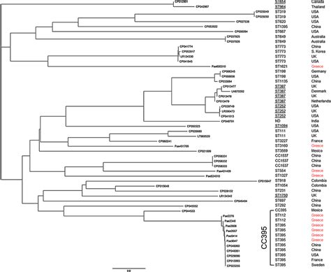 Crispr Based Phylogenetic Tree Of Type Ie Crisprcas Positive P Download Scientific Diagram