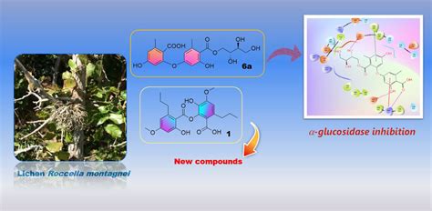 Bio‐guided Isolation Of Alpha‐glucosidase Inhibitory Compounds From