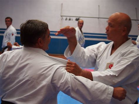 Iostk Organizacion Internacional De Karate Tradicional Y Deportivo