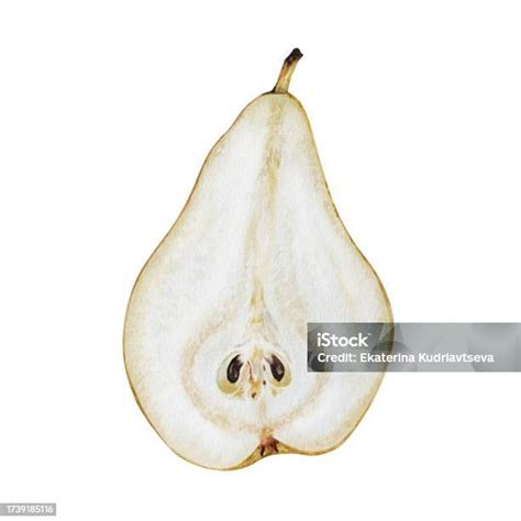 하얀 고립된 배경에 배 반쪽 달콤한 과일 조각의 수채화 그림입니다 식품 및 음료 포장을 위한 클리핑 패스로 그리기 스티커 및