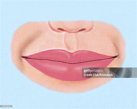 Smiling Mouth Closed High Res Vector Graphic Getty Images