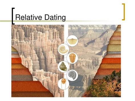 Ppt Exploring Evolutionary History Fossils And Time Scale Powerpoint