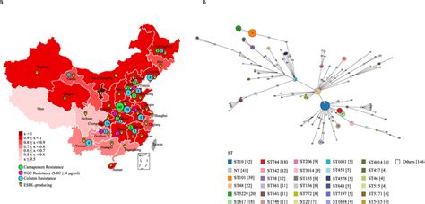 Distribution And Sequence Types Of Multidrug Resistant E Coli Isolates