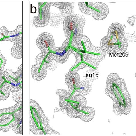 X Ray Structure At 13 Å A The 2f Obs − F Calc Electron Density Map